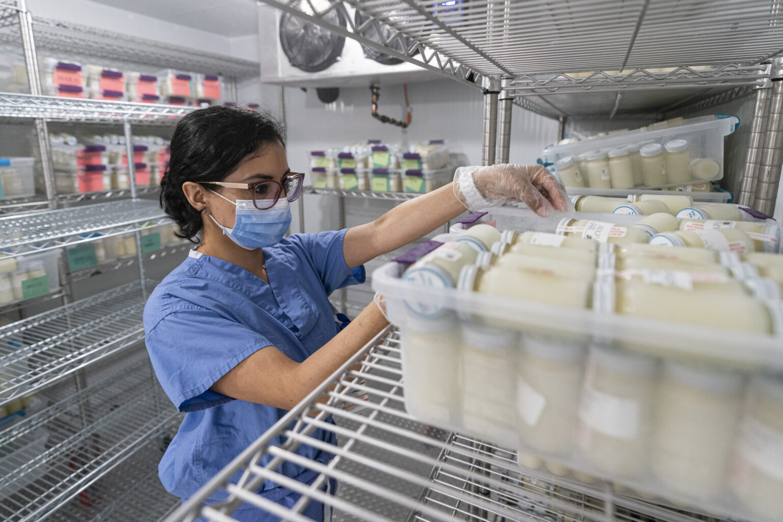 Provincial Milk Bank – BC Women's Health Foundation
