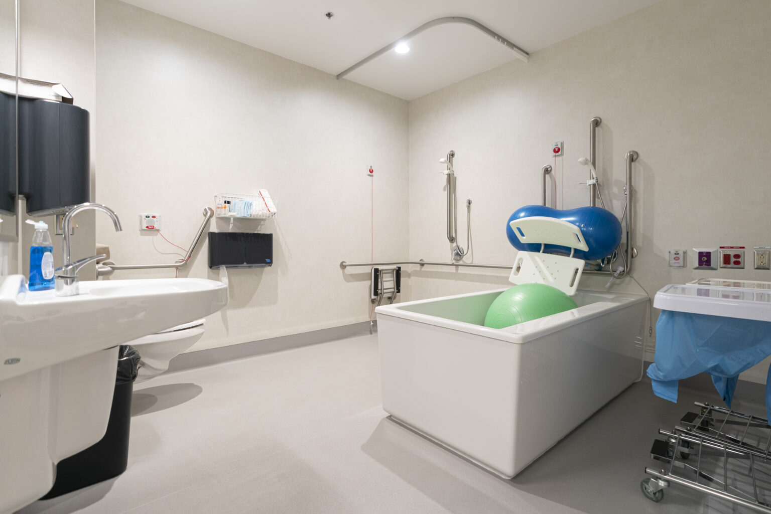 Bright Beginnings in Cedar Birthing Suites – BC Women's Health Foundation